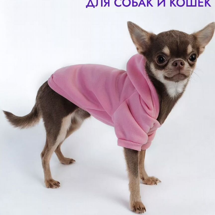 Кофта для собак