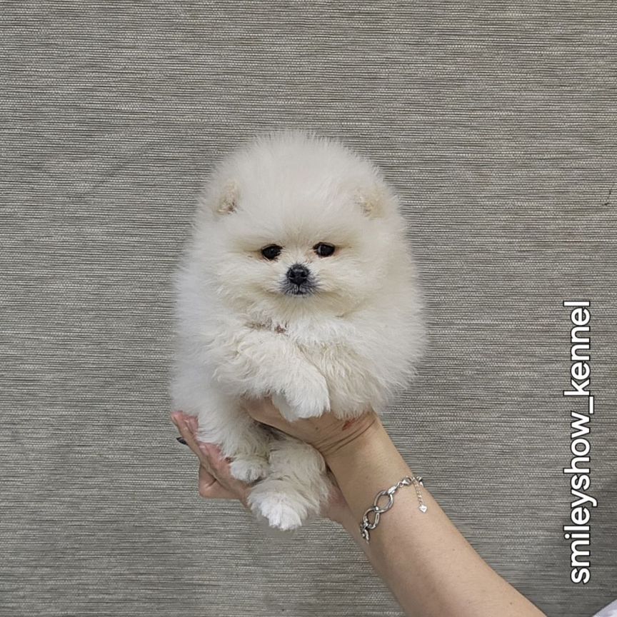 Девочка айс крем,без брака. РКФ