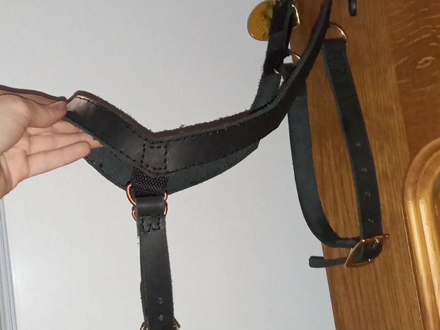 Уздечка для лошади