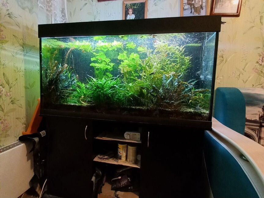 Аквариум с тумбой