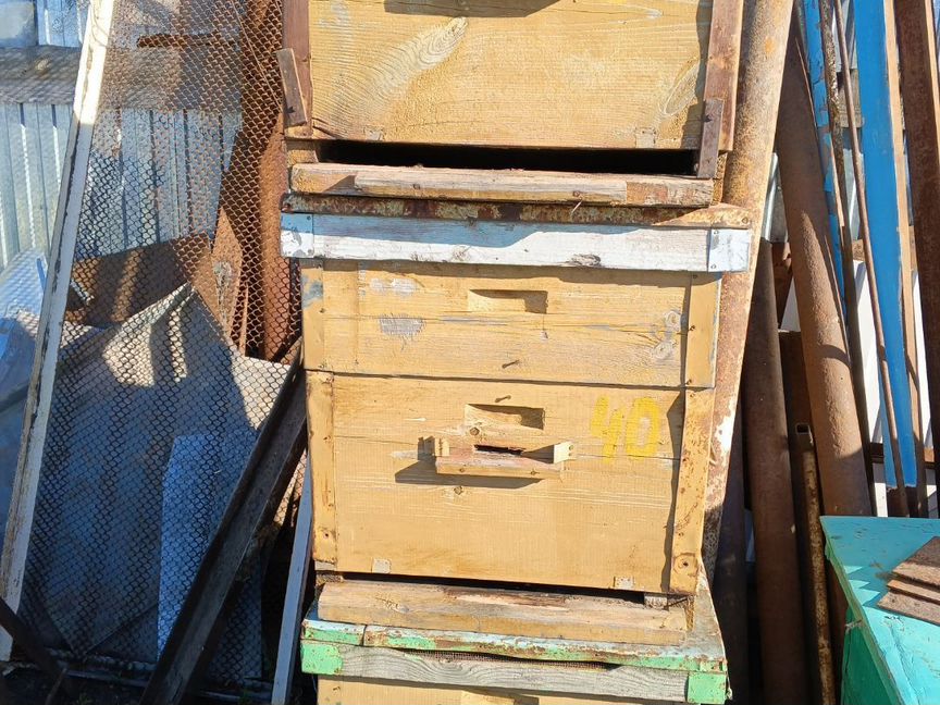 Ульи для пчел