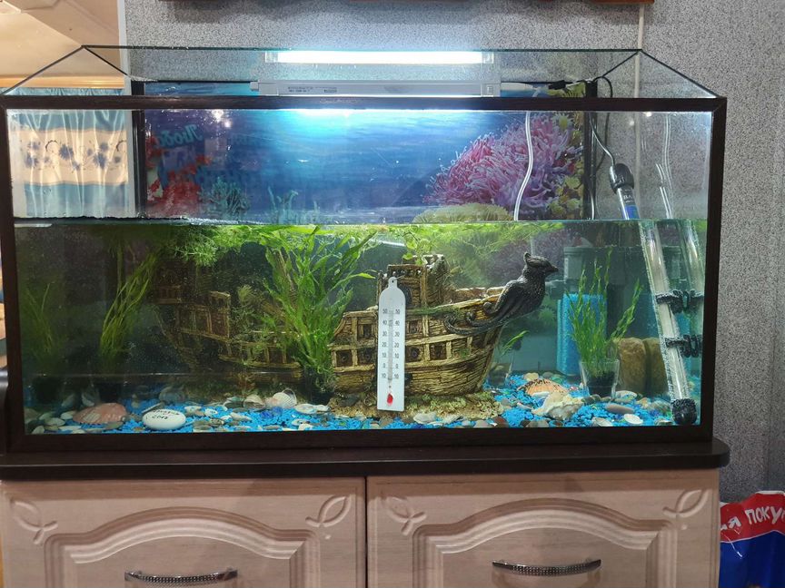 Аквариум 110литров с 2мя черепахами