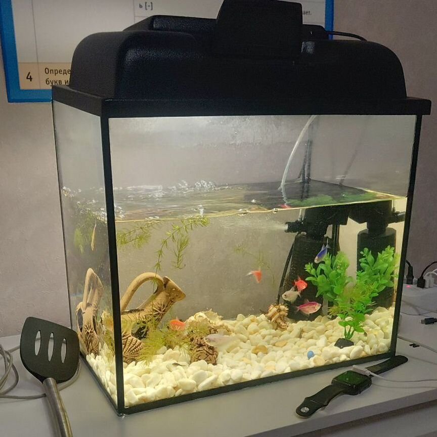 Аквариум