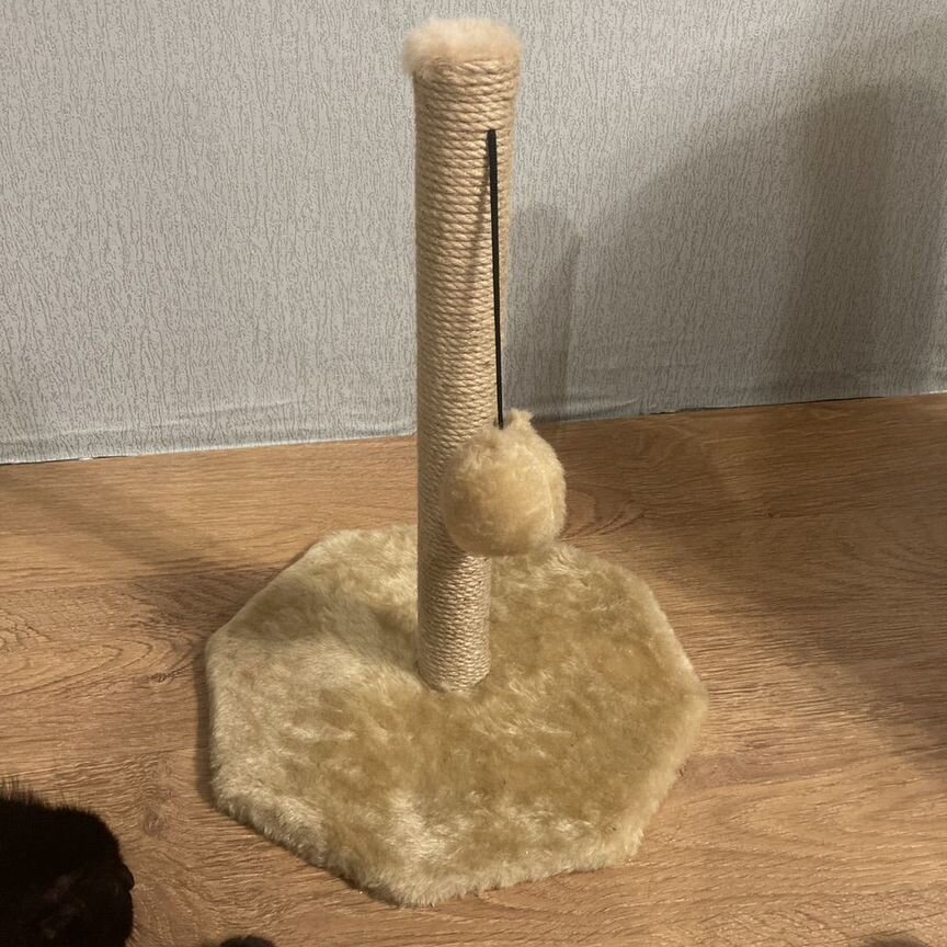 Когтеточка новая