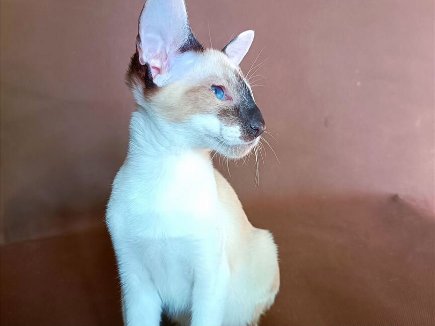 Чудесный мальчик