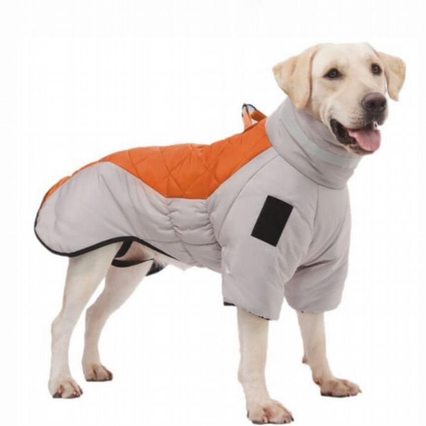 Зимний комбинезон для собак средних пород