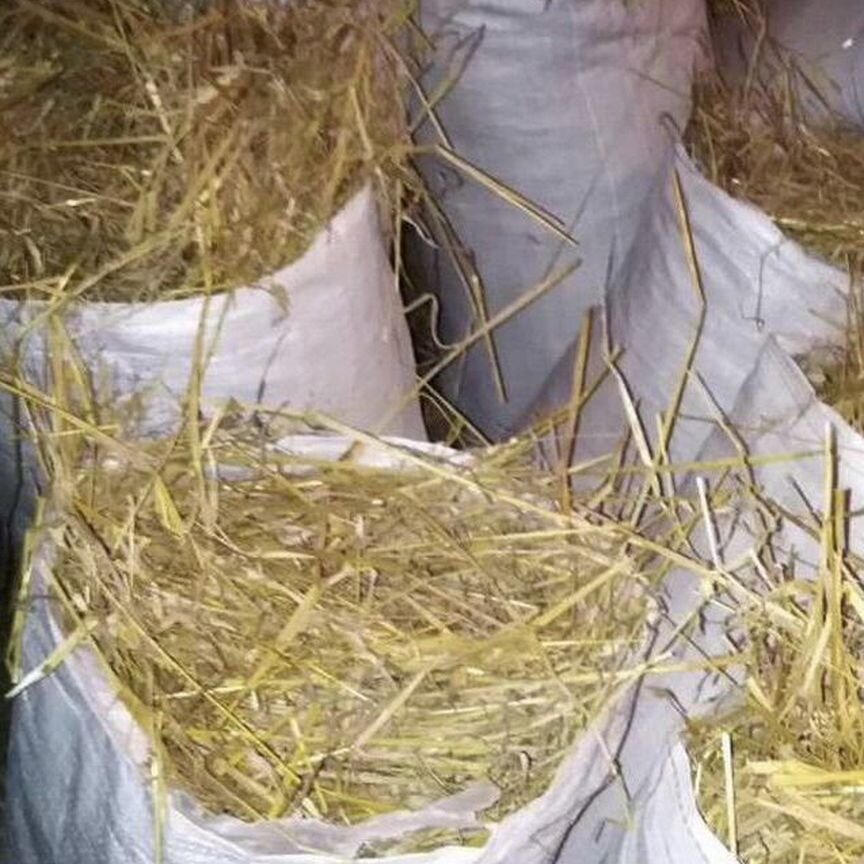 Солома в мешках