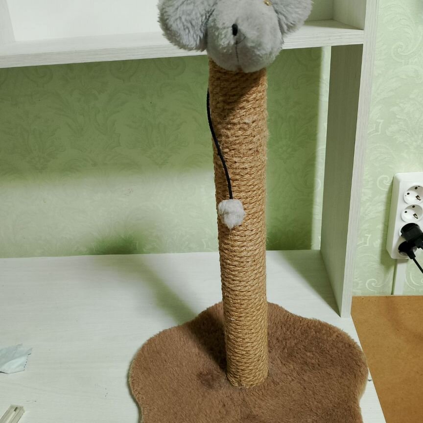Когтеточка