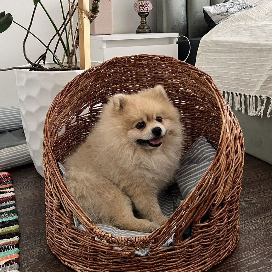 Лежанка для собак и кошек