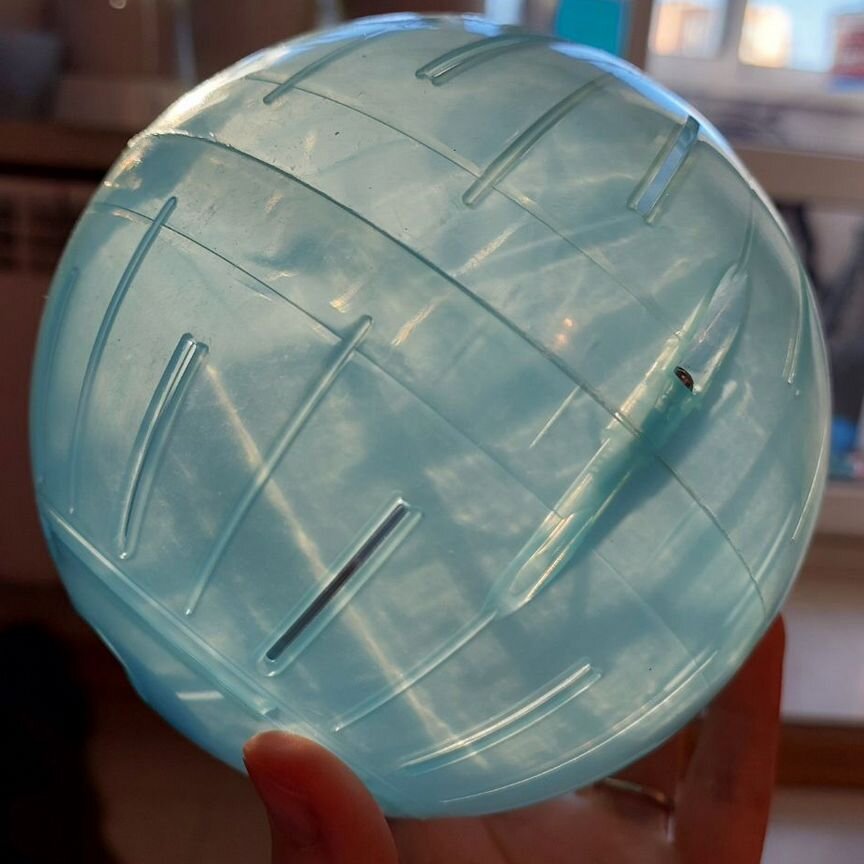 Прогулочный шар и колесо для хомяка