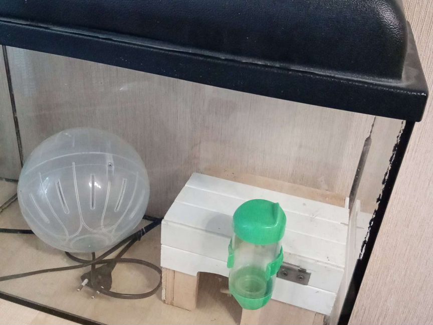 Аквариум с подсветкой