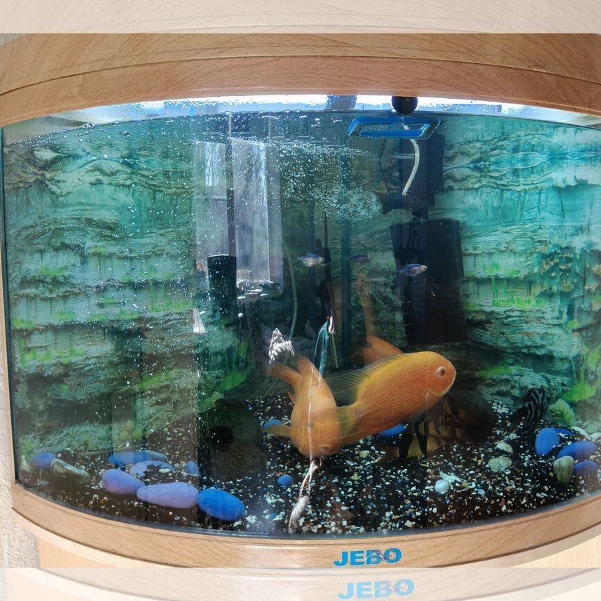 Аквариум с тумбой jebo 300