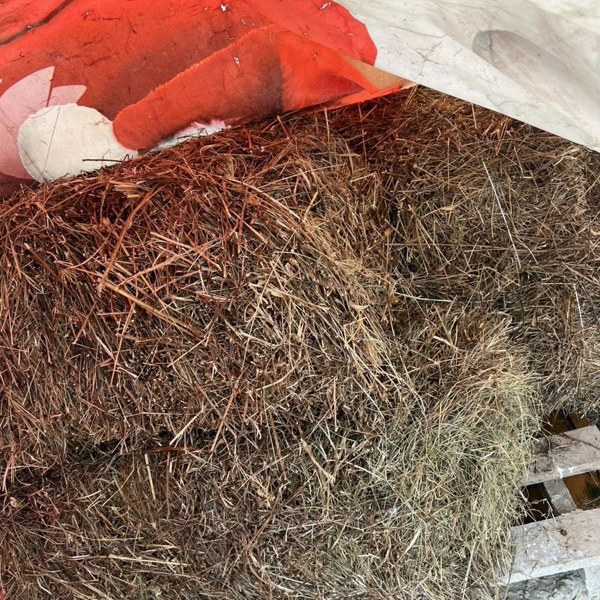 Сено в тюках