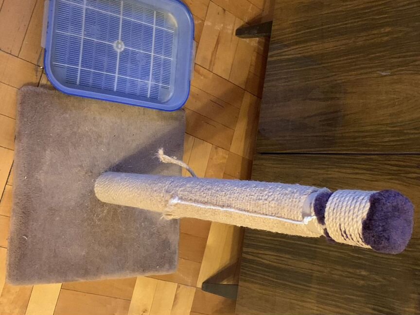 Продам лоток и Когтеточку