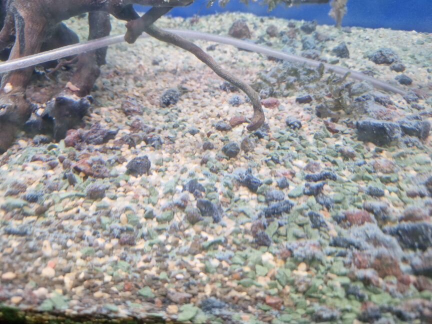 Кварц речной 3-5мм