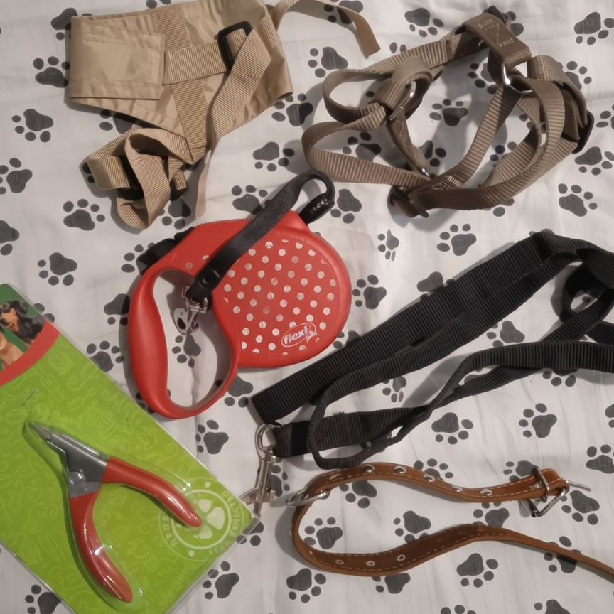 Товары для маленькой собачки