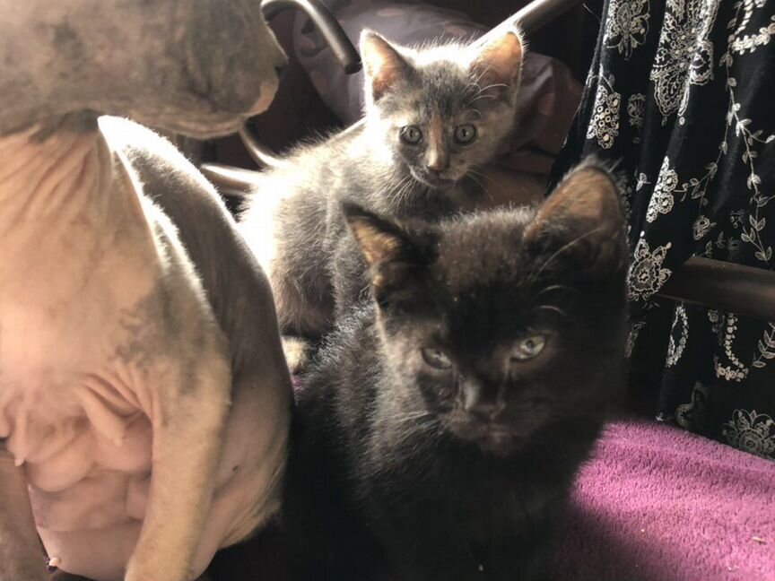 Так получилось