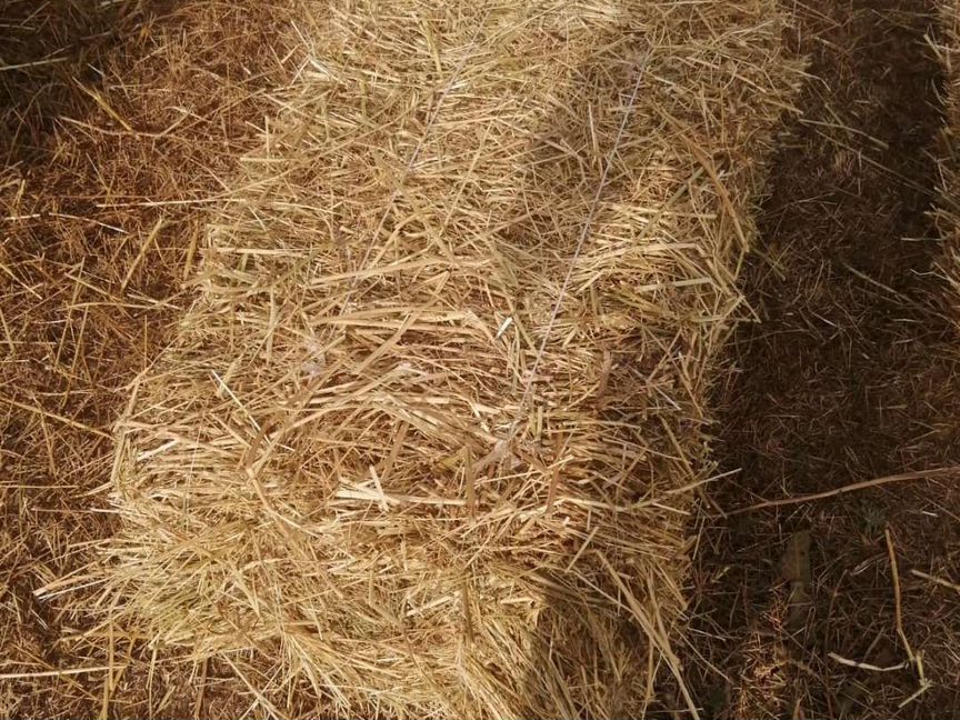 Сено и солома в тюках