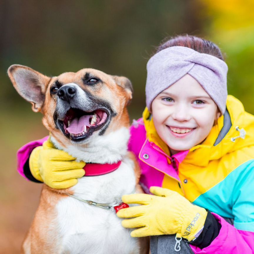 Кобель Рокки ищет дом