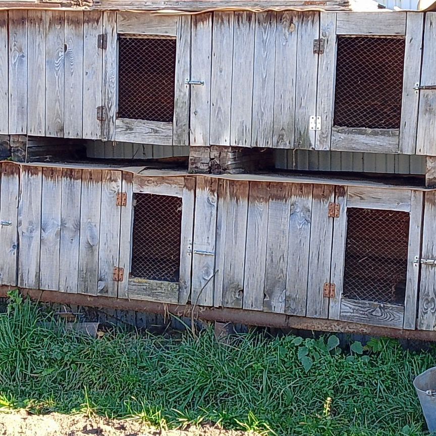 Клетки для кроликов б/у