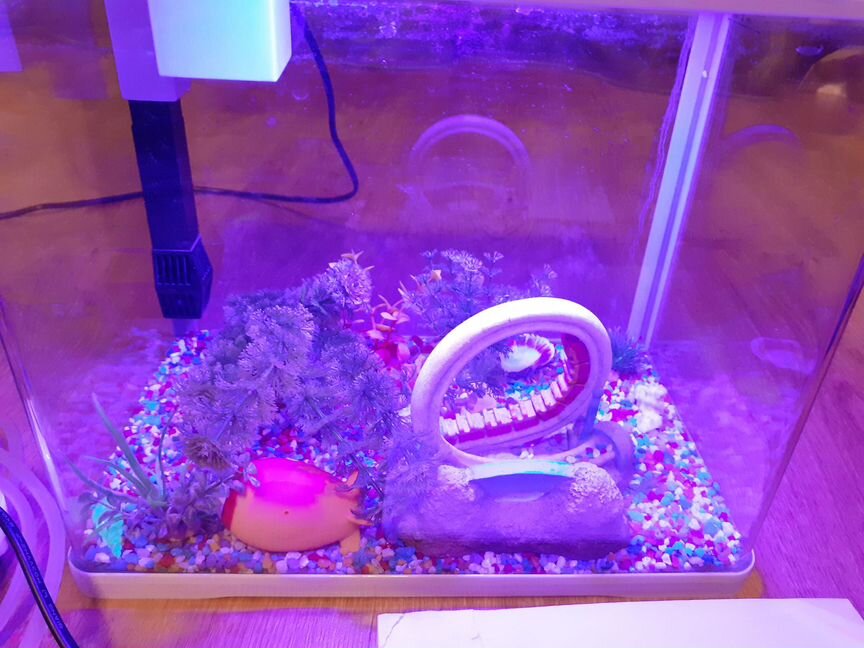 Аквариум prime zoo concept