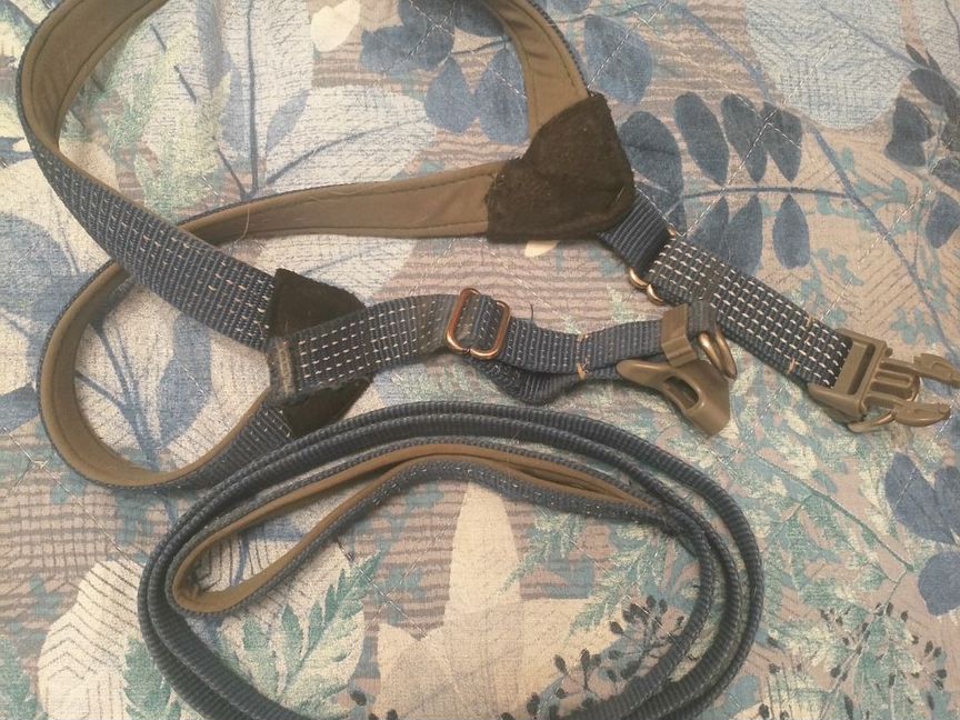 Поводок собачий с карабином и шлейка
