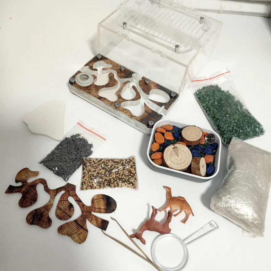 Муравьиная ферма