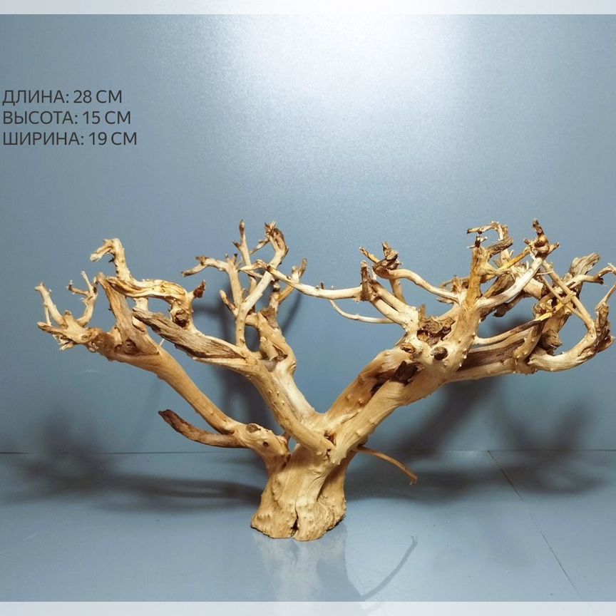 Изящная коряга-деревце для аквариума ик10