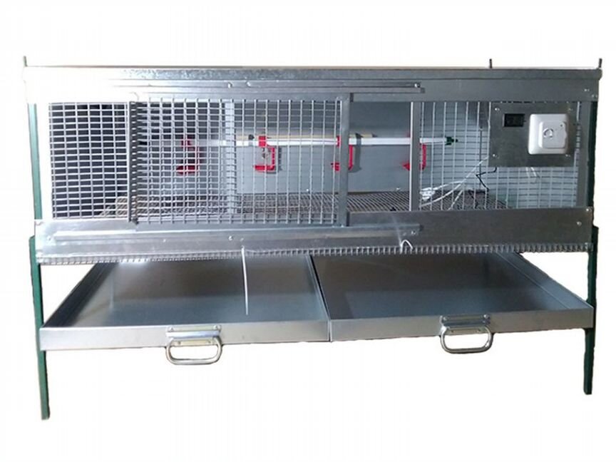 Брудер Любимый-Максимальная комплектация 110цыплят