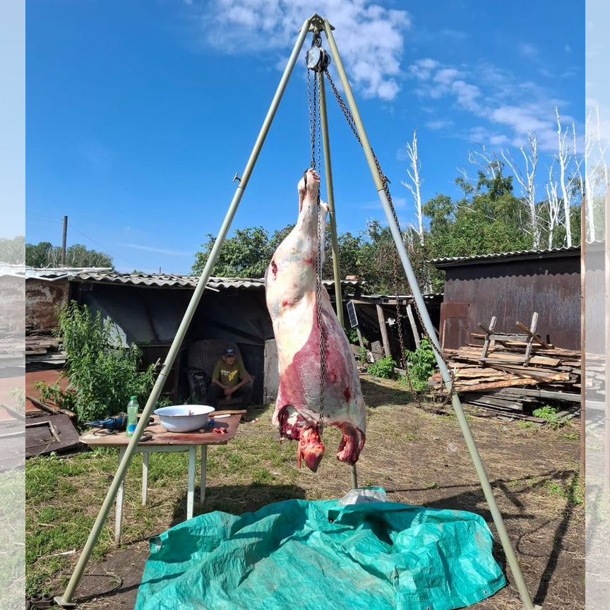 Тренога для резки коней и крс