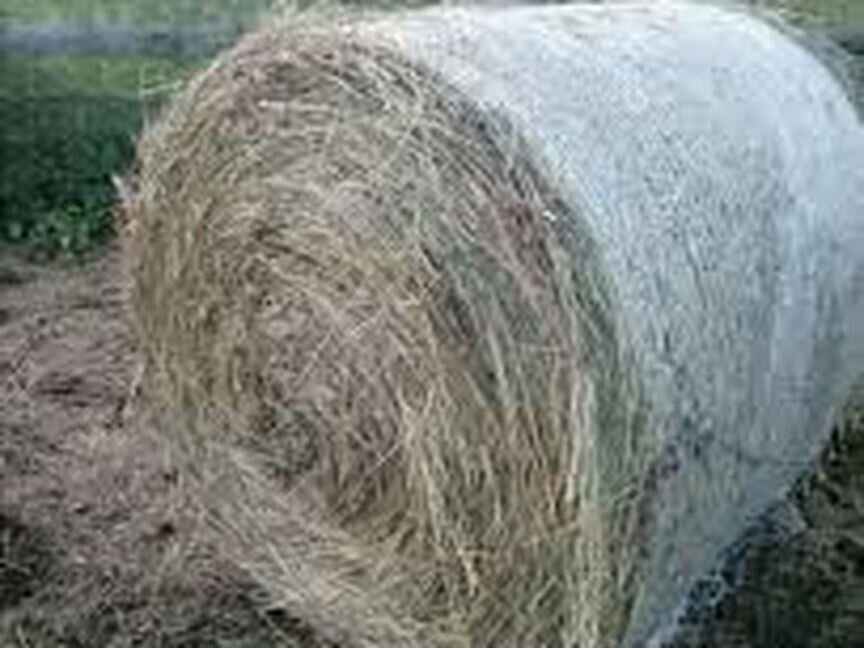 Солома пшеничная в тюках