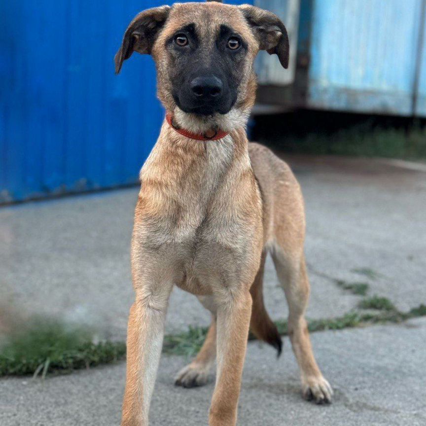 Девочка подросток ищет дом