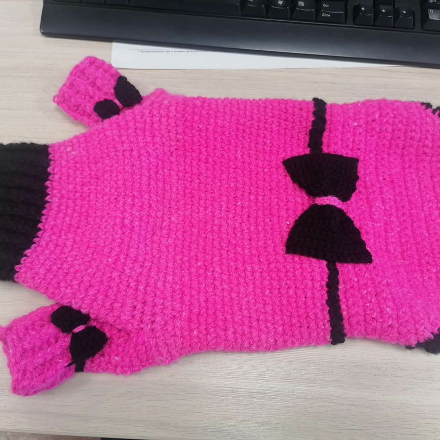 Свитер на собаку