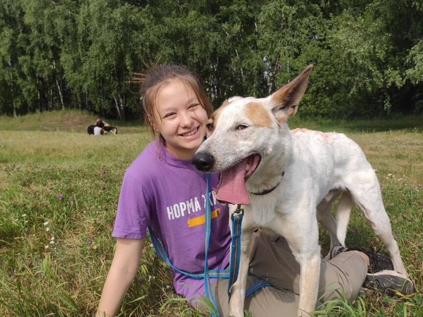 Кевин, метис из приюта ищет дом