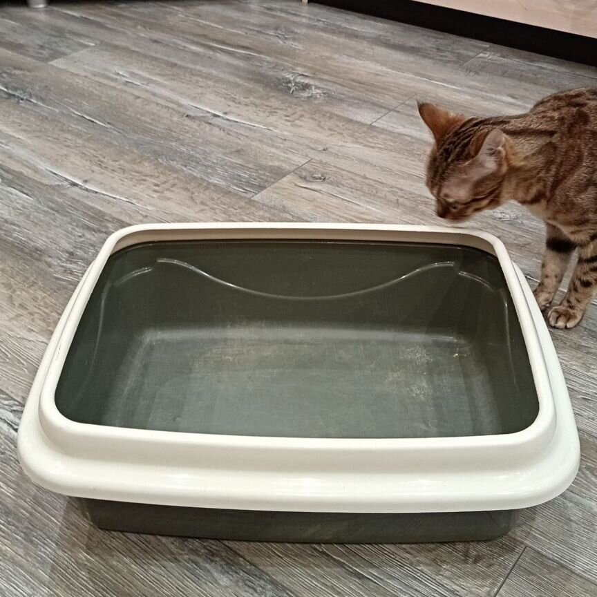 Кошачий лоток маленький