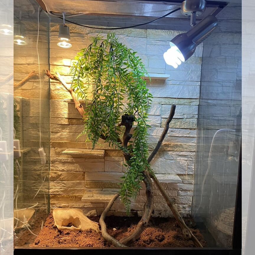 Террариум для хамелеона