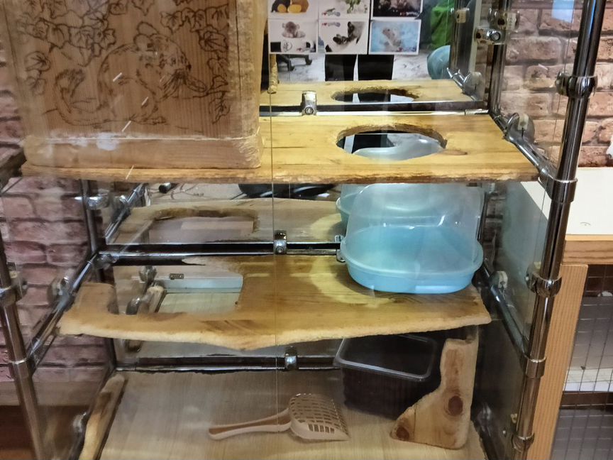 Витрина для шиншилл бу