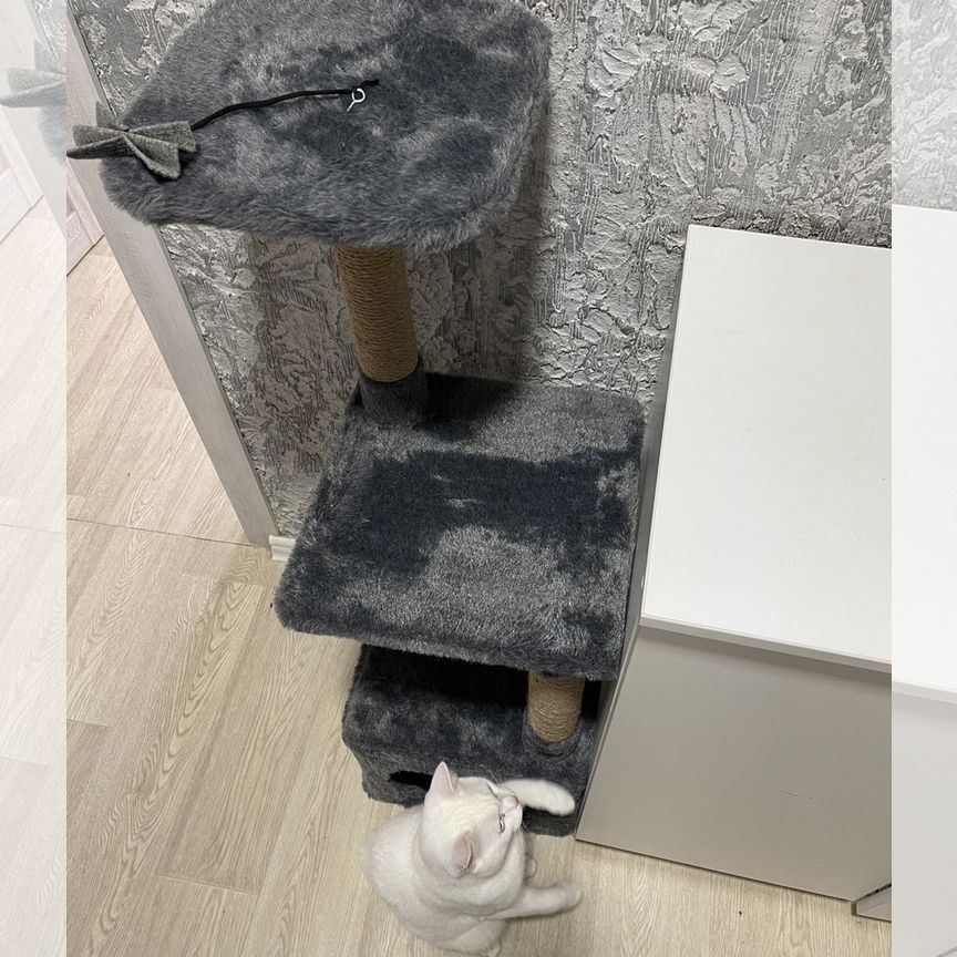 Когтеточка для кошек с домиком, комплекс игровой