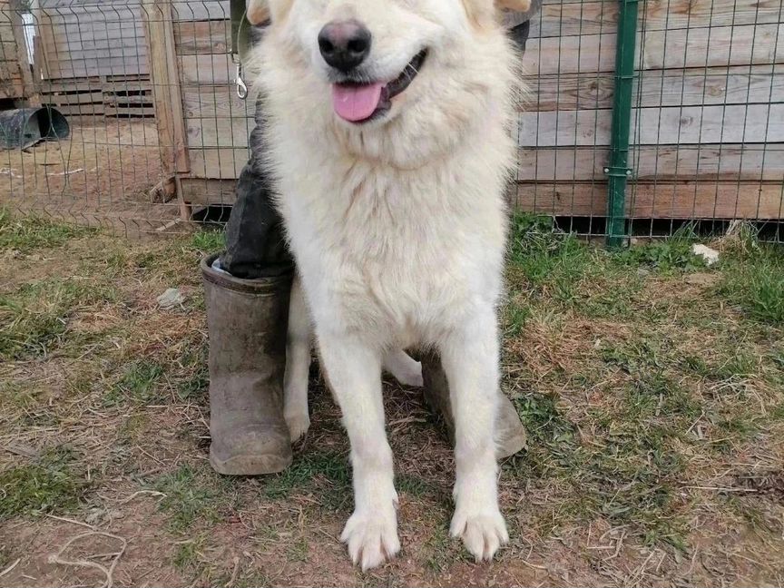 Снежана ищет любящую семью