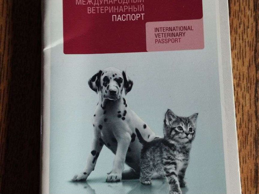 Международный ветеринарный паспорт