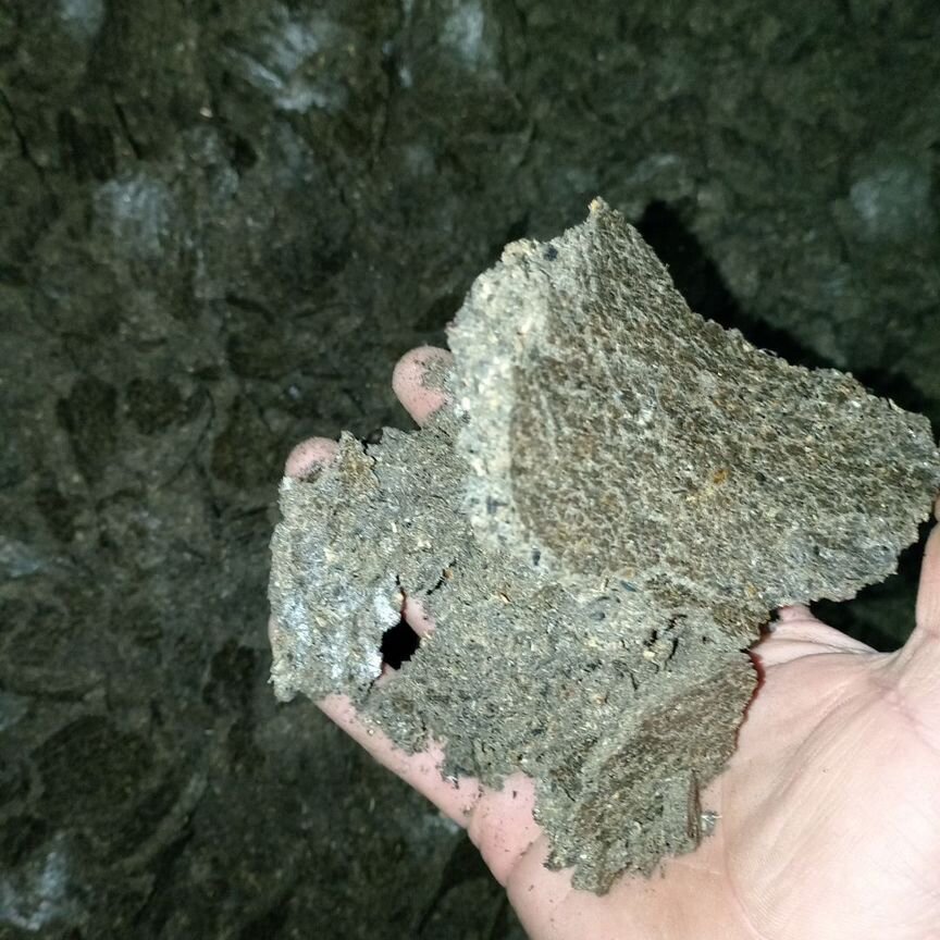 Жмых подсолнечный от производителя