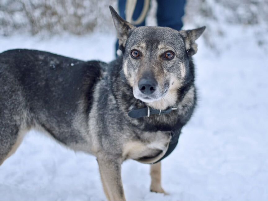 Всю жизнь Ляля в приюте