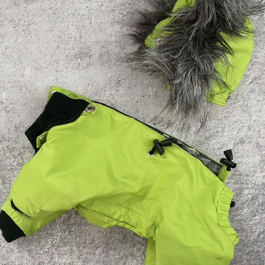 Одежда для маленькой собачки