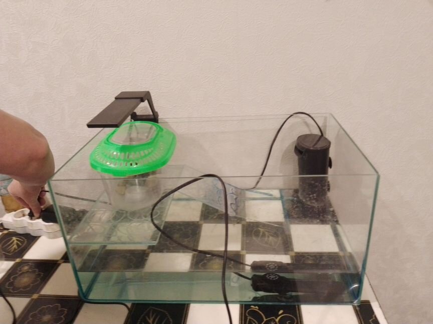 Принадлежности для черепахи