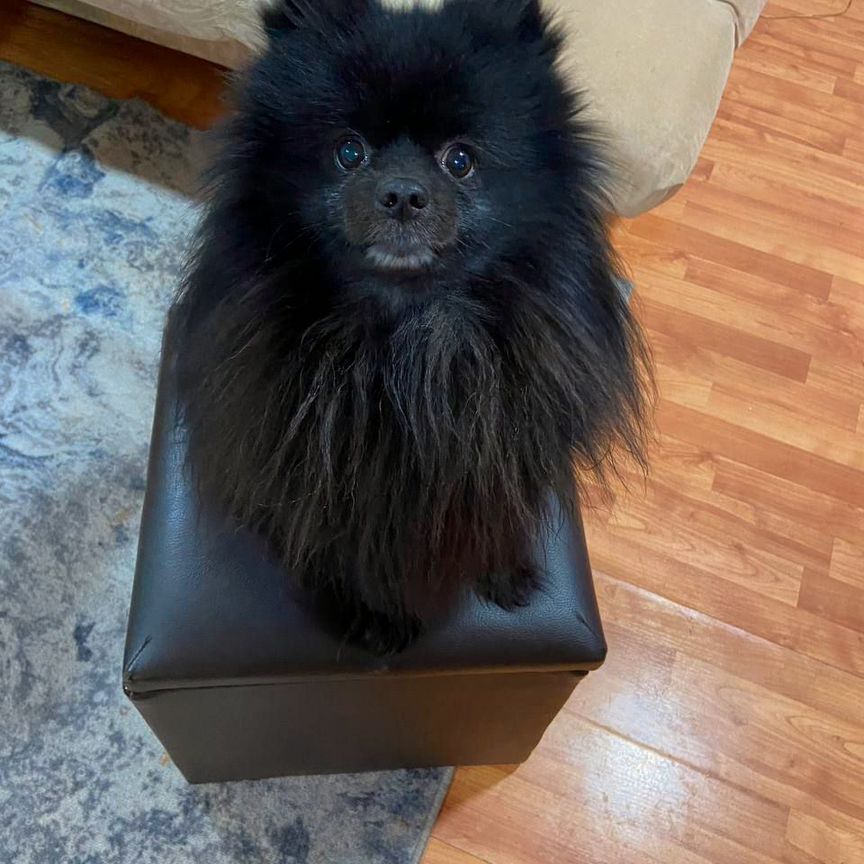 Связка кабель