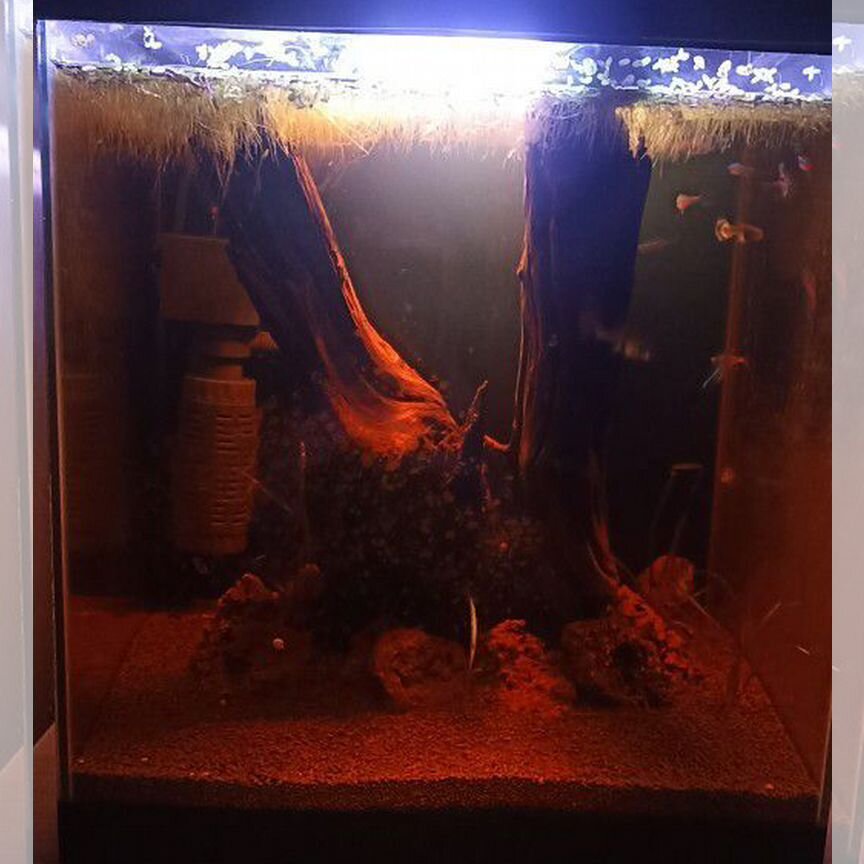 Аквариум 36л с фильтром и светом