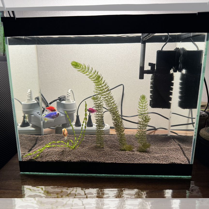 Аквариум 30 литров с помпой-фильтром и рыбками