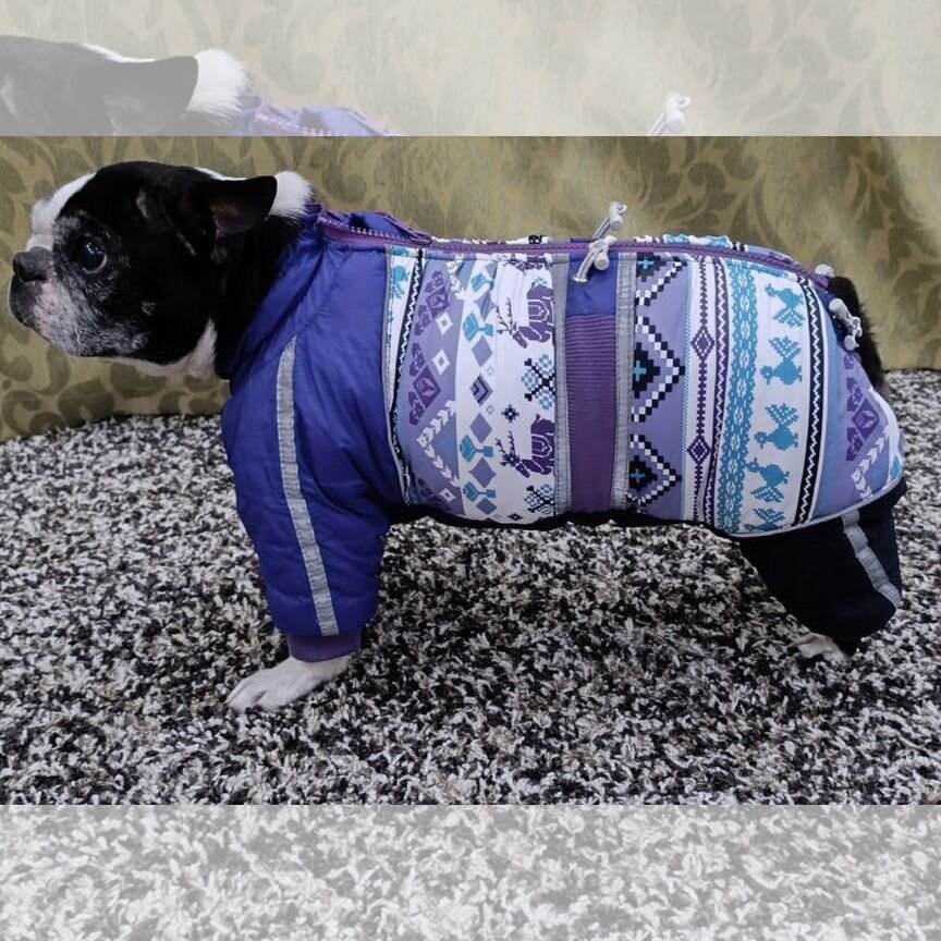 Зимний комбинезон для средней собаки