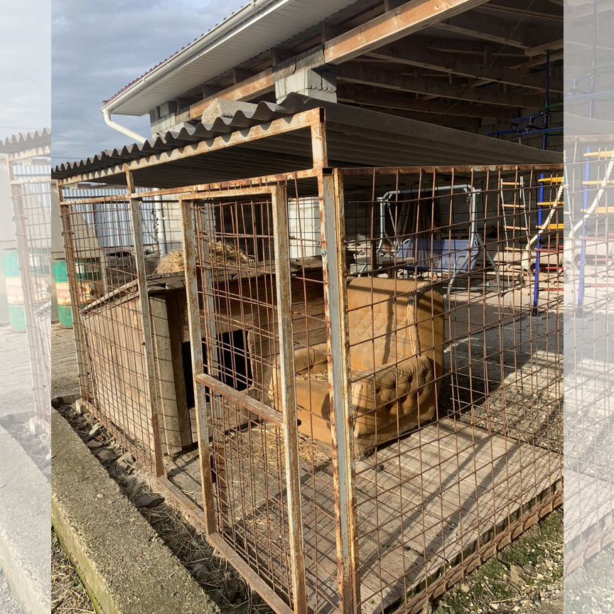 Будка и вольер для собаки