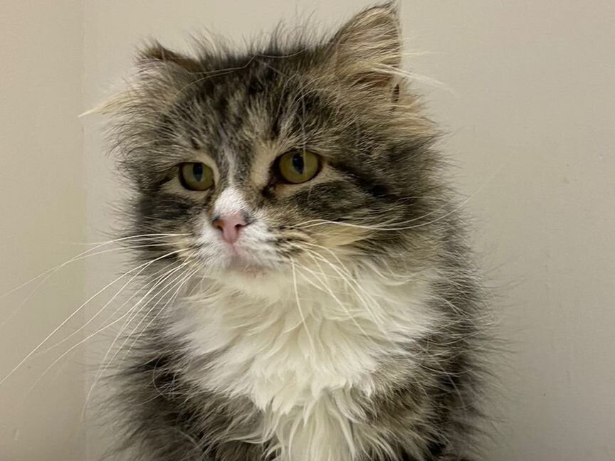 Никто не любит